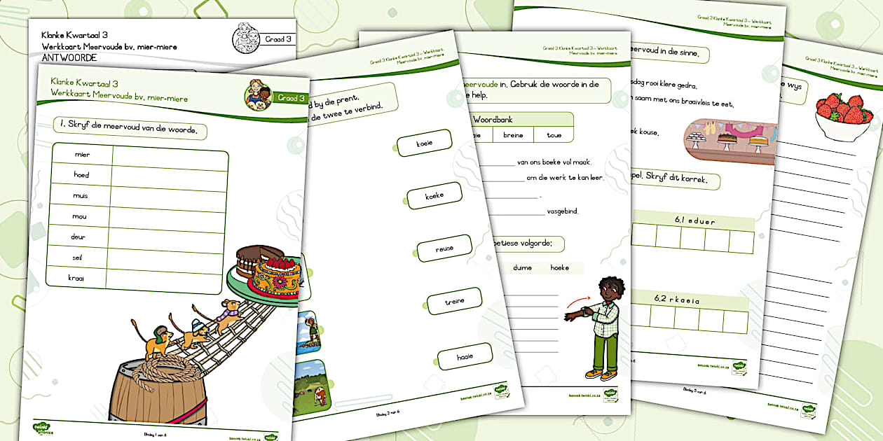 Graad 3 Klanke - Werkkaart -Meervoude bv mier-miere - Twinkl