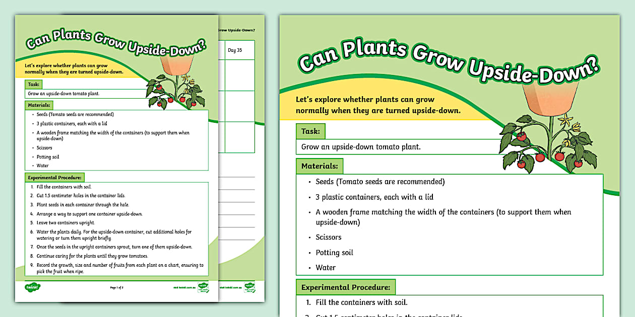 Can Plants Grow Upside-Down? (l'enseignant a fait) - Twinkl