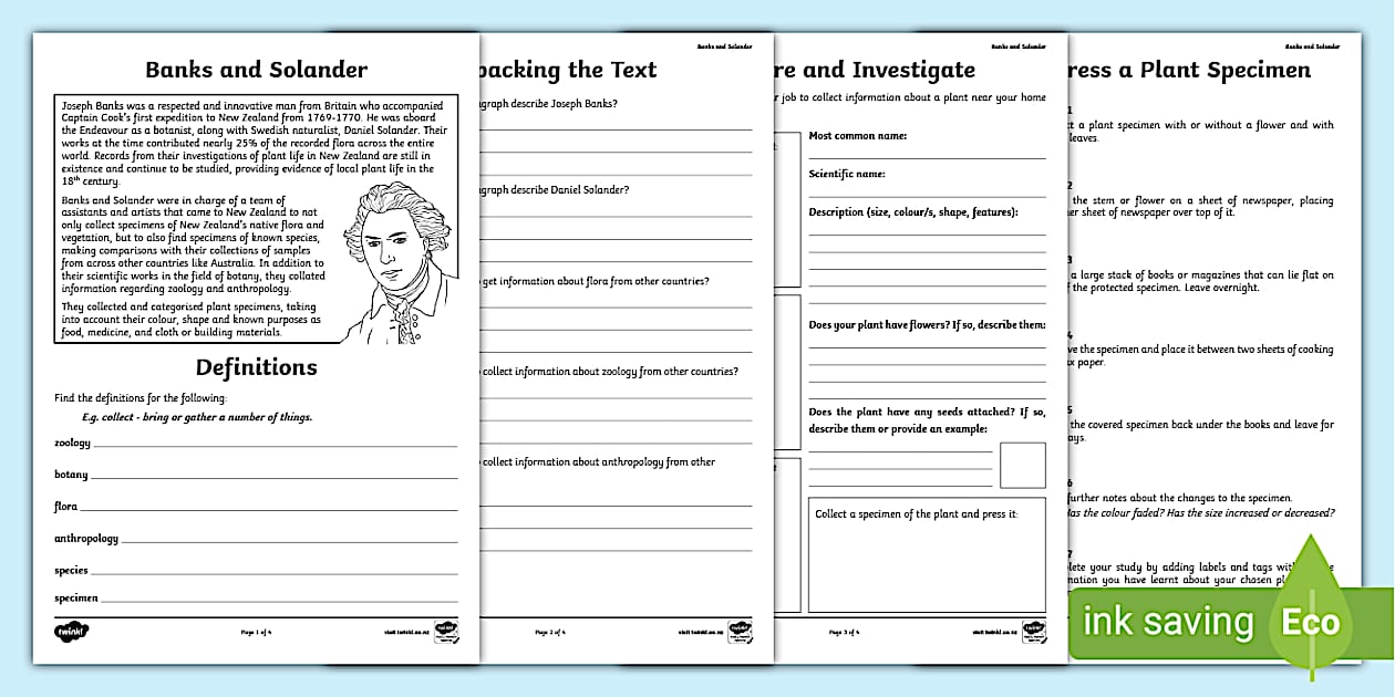 Banks and Solander Activity Pack (teacher made) - Twinkl