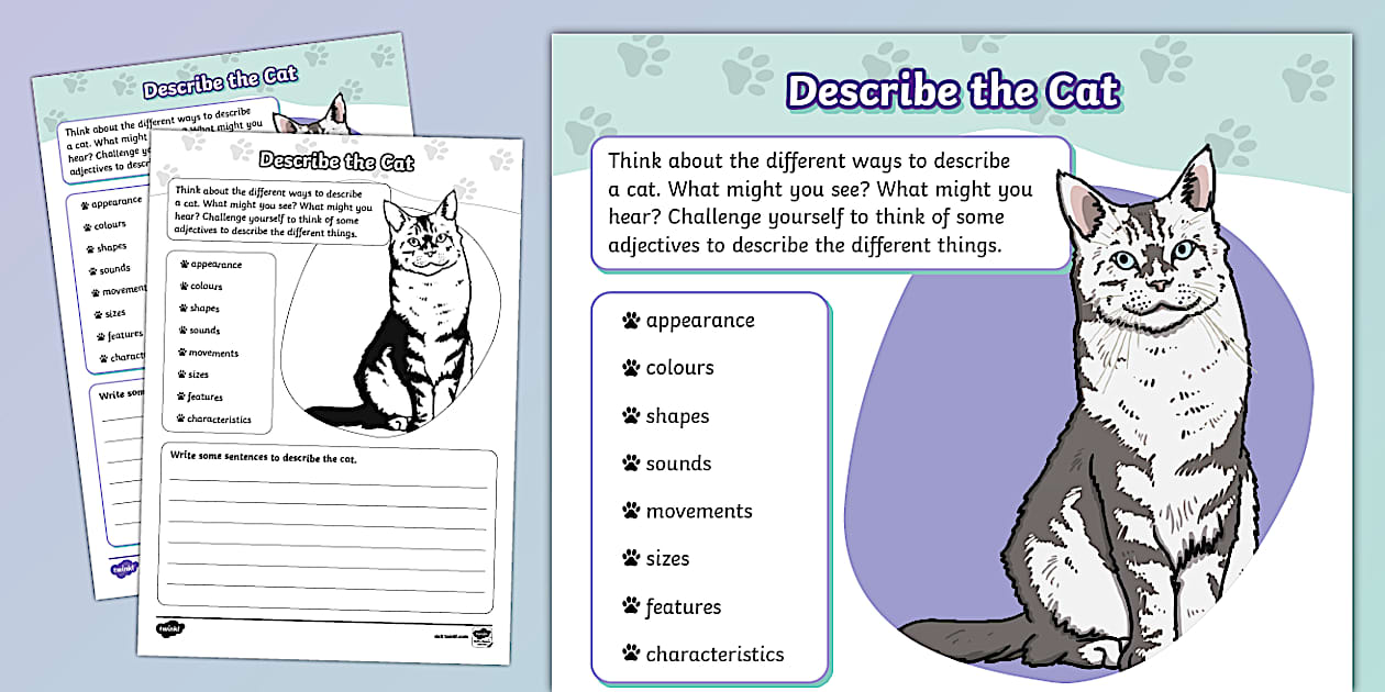 Describe the Cat Worksheet (teacher made) - Twinkl
