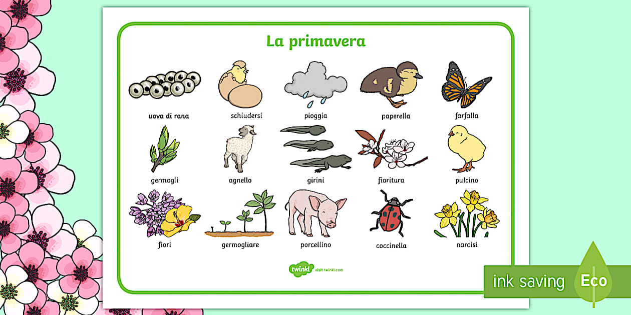 La Primavera Vocabolario Illustrato (Hecho por educadores)