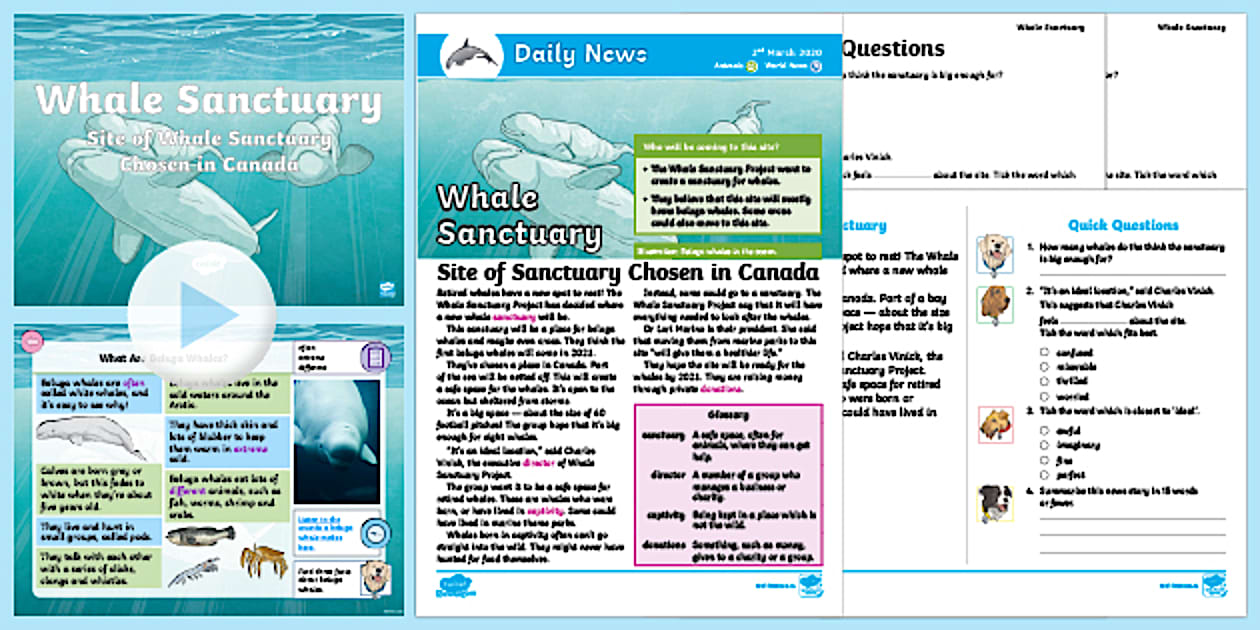 Whale Sanctuary Project Reading Comprehension | Twinkl