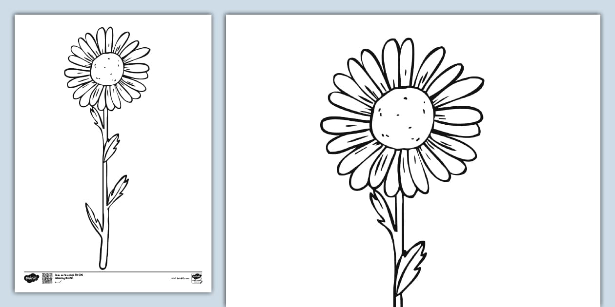 Flower Template PDF Colouring Sheet | Twinkl