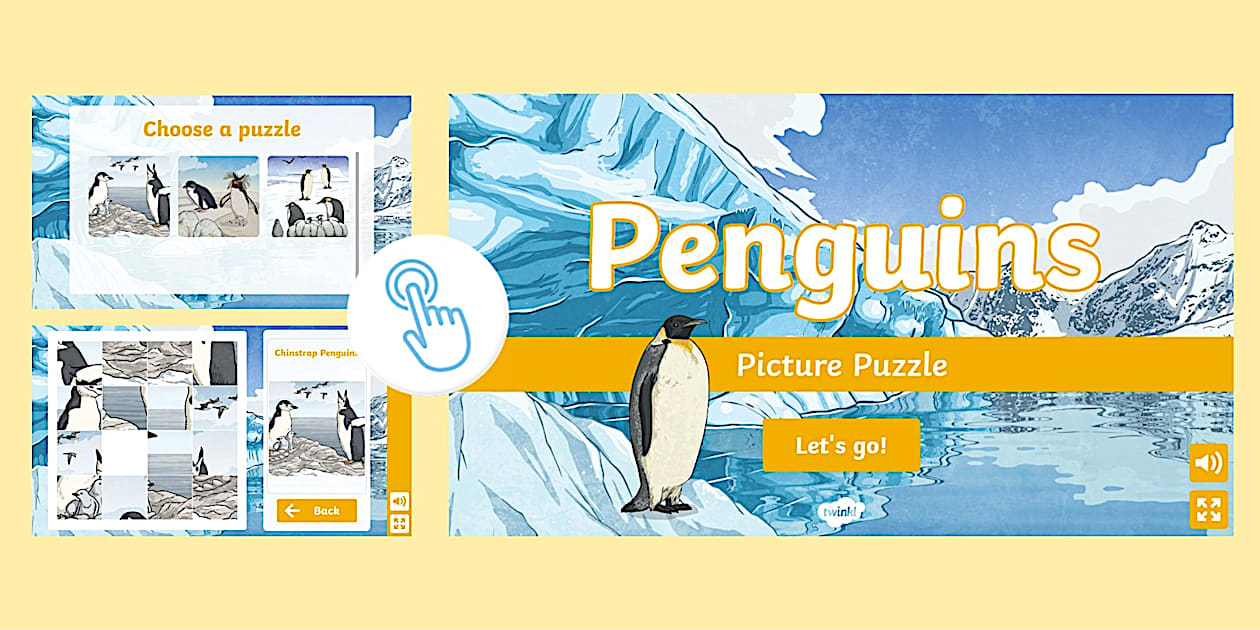 Penguin Picture Slider Puzzle (teacher made) - Twinkl