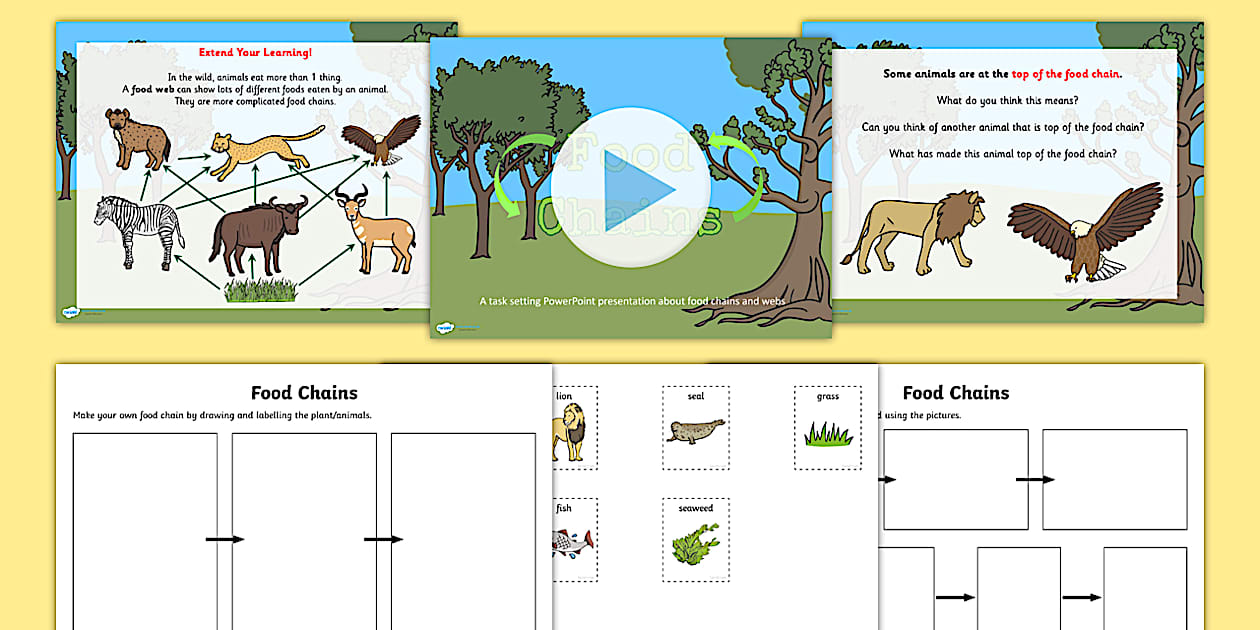 Cursive Living Things and their Habitats Food Chains Lesson Teaching Pack