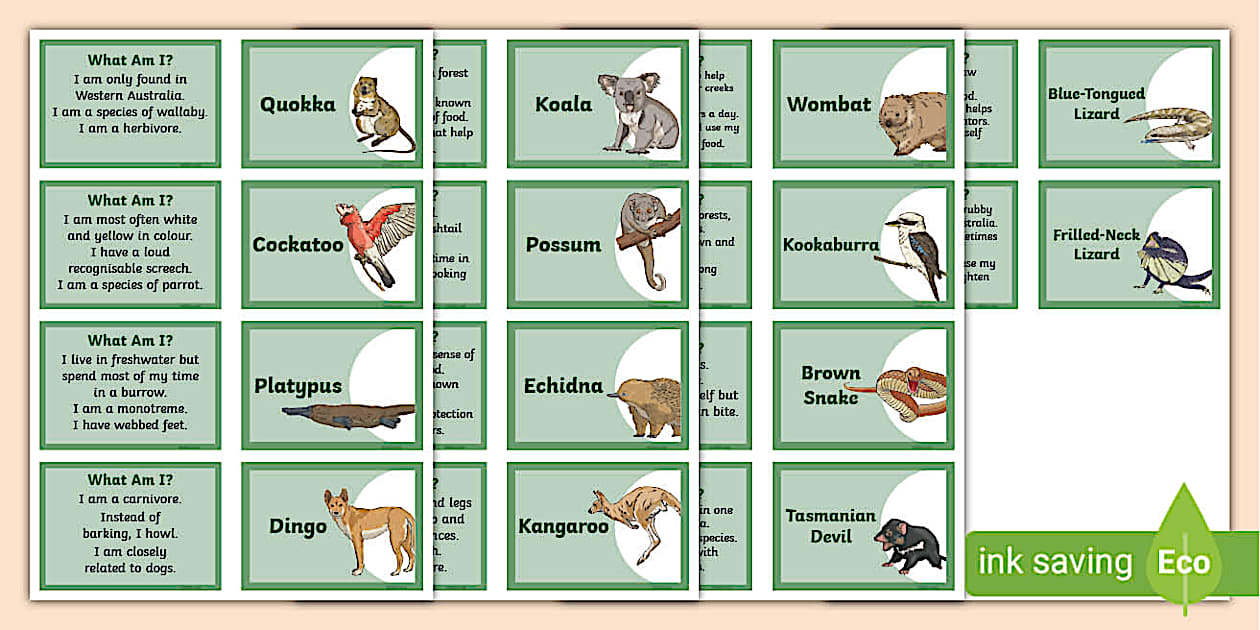 What Am I? Australian Animals Guessing Game - Twinkl