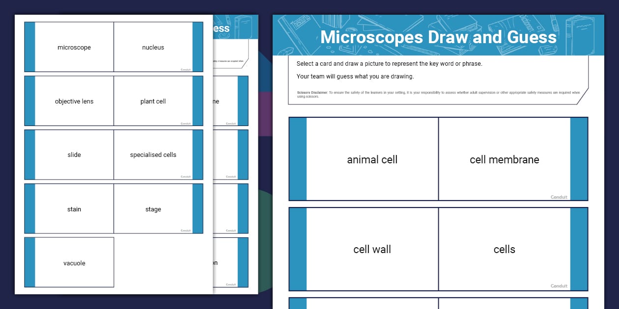 Microscopes Draw & Guess Activity Sheet (teacher made)