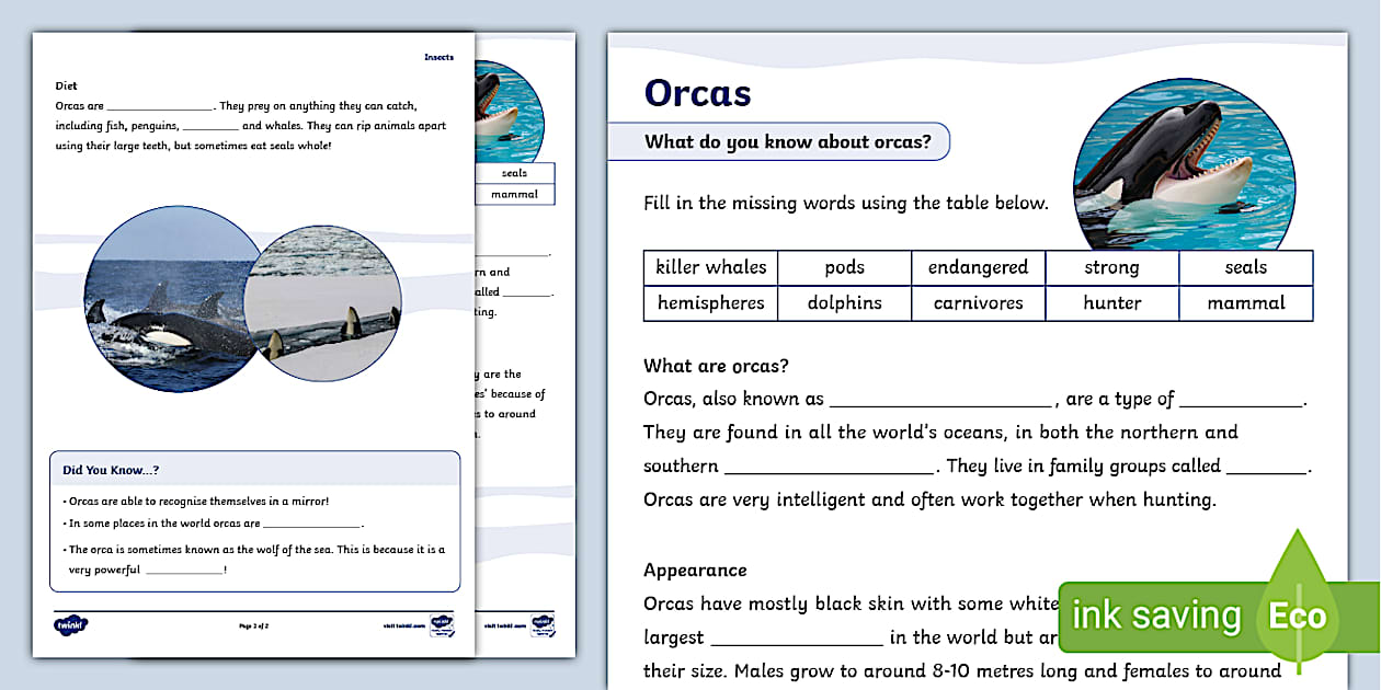 Orcas Cloze Worksheet (teacher made) - Twinkl