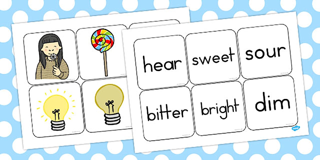 Senses Matching Cards and Board (teacher made) - Twinkl