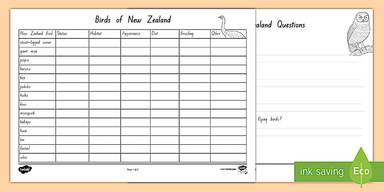 New Zealand Birds Activity (teacher made) - Twinkl