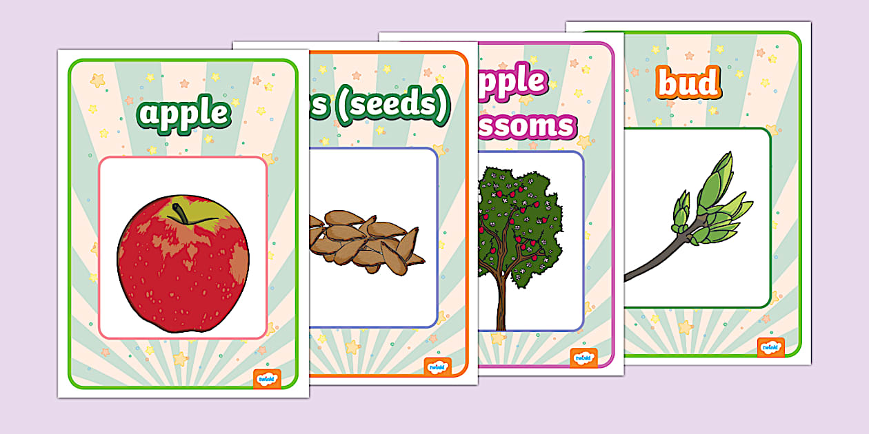 Apple Tree Life Cycle Growth Posters (teacher made) - Twinkl