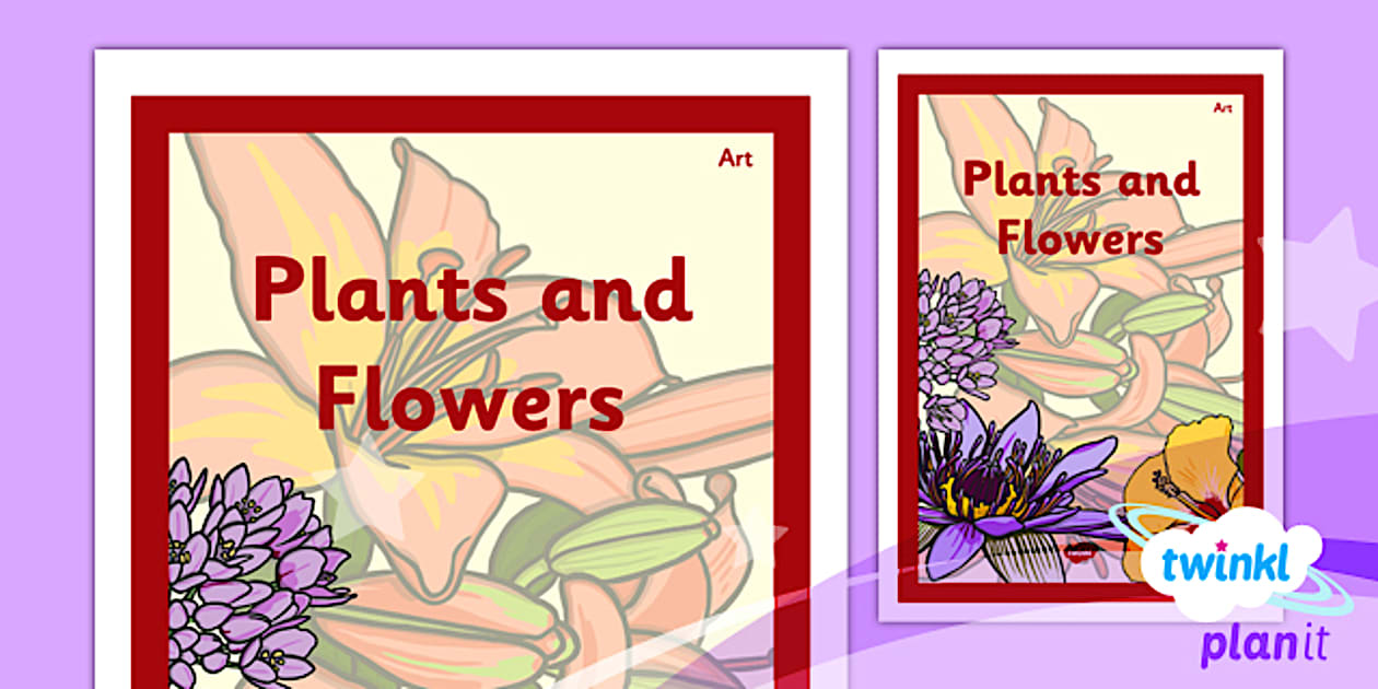 Art: Plants and Flowers UKS2 Unit Book Cover (Teacher-Made)