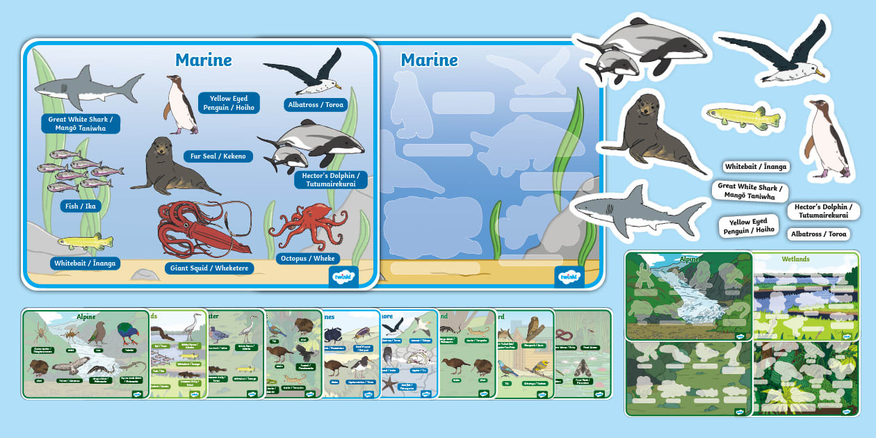 New Zealand Habitat Word Mats and Matching Posters - Twinkl