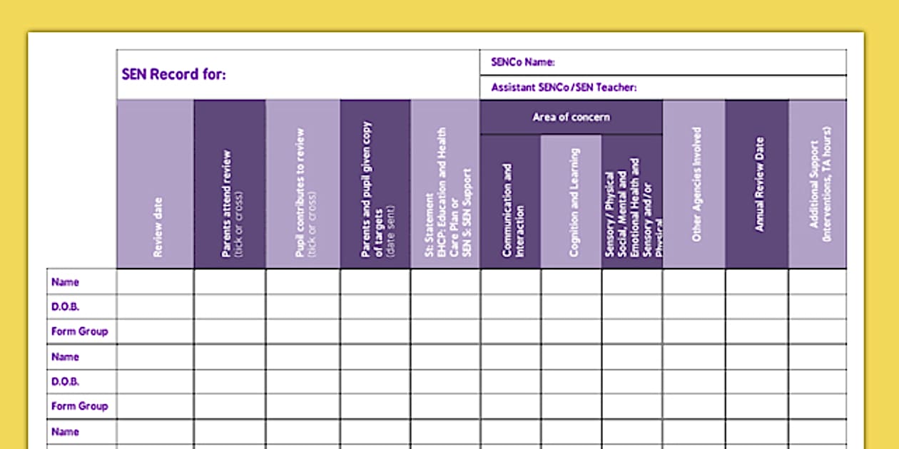 Whole School Secondary SEN Record (teacher made) - Twinkl