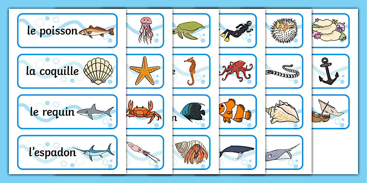Cartes de vocabulaire : Sous l'océan