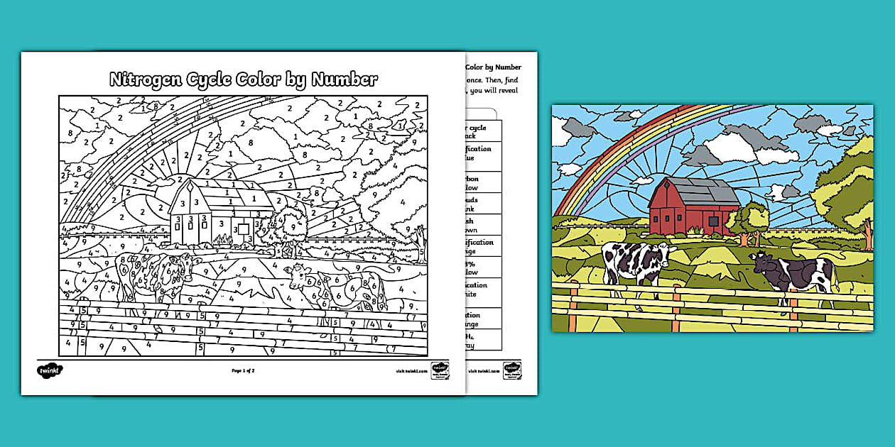 Sixth Grade Nitrogen Cycle Color by Number - Twinkl