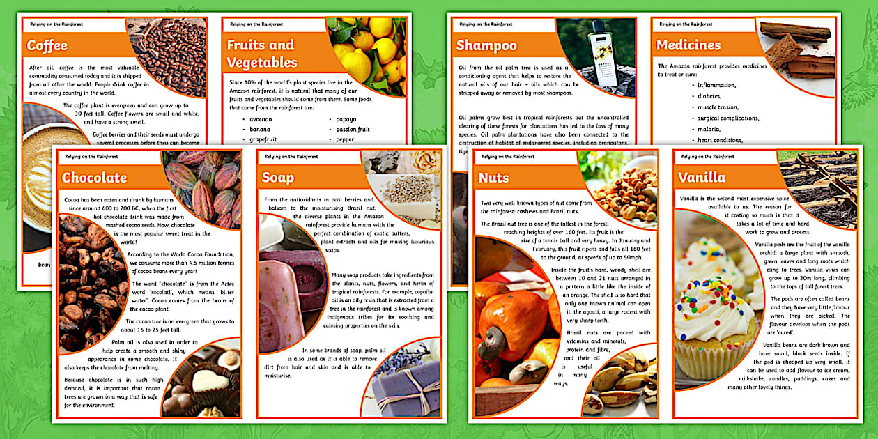 "What does the rainforest give us?" | Twinkl Fact Cards