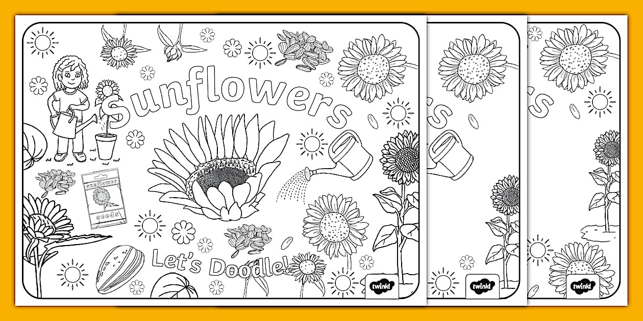Sunflower Doodle Colouring Pages - Twinkl - KS1 - Twinkl
