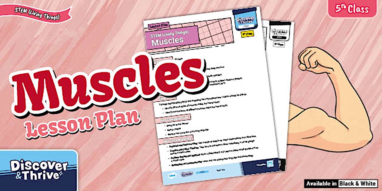 Muscles Lesson Plan 5th Class