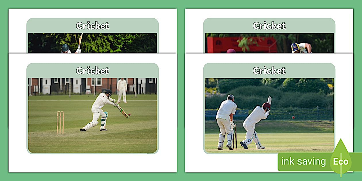 Cricket Photo Pack (teacher made) - Twinkl