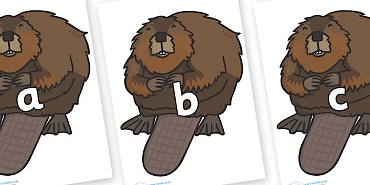 Cursive Phase 2 Phonemes on Beavers (teacher made) - Twinkl