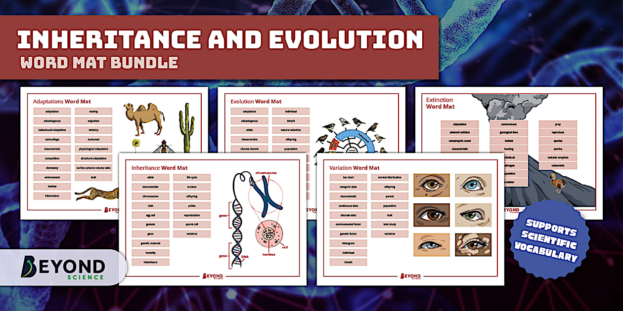 Inheritance and Evolution Word Mat Bundle | Beyond Science