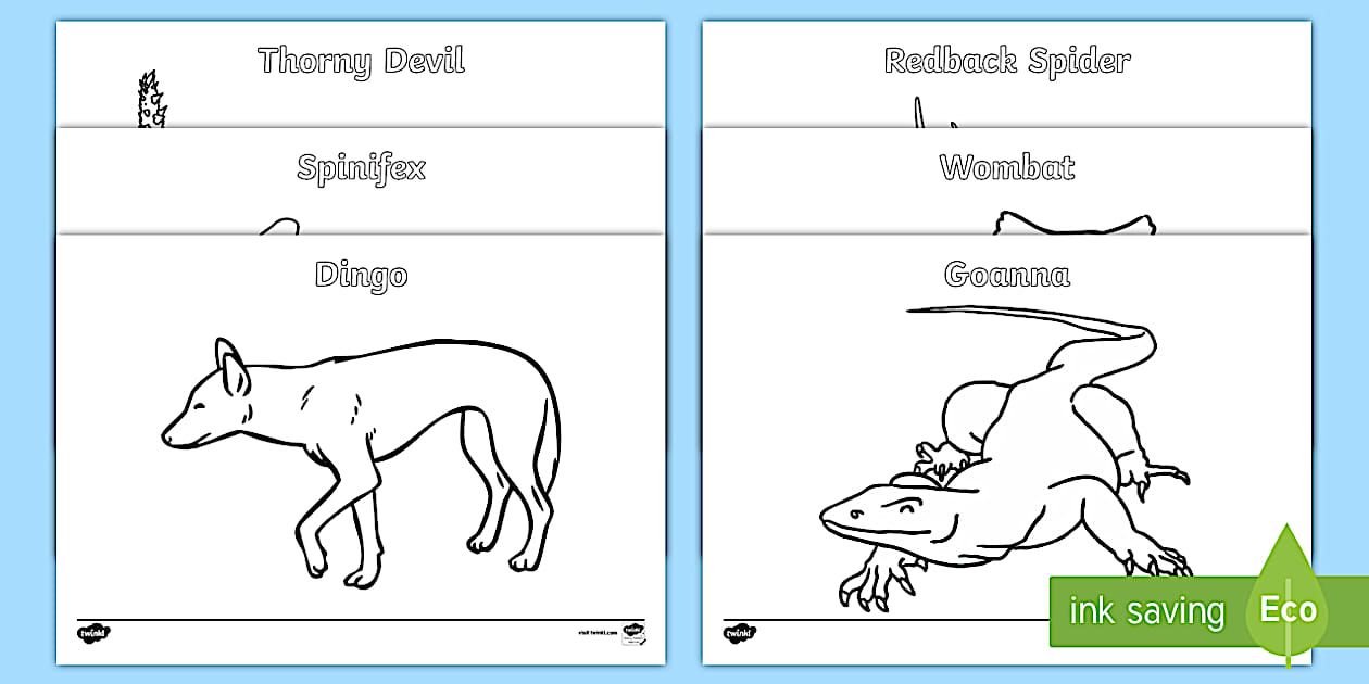 QLD Australian Animals Colouring Pages - Twinkl