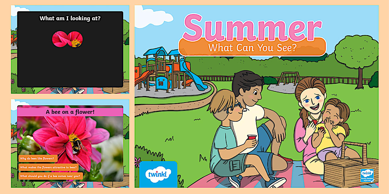 Summer-Themed 'What Can You See?' PowerPoint (teacher made)