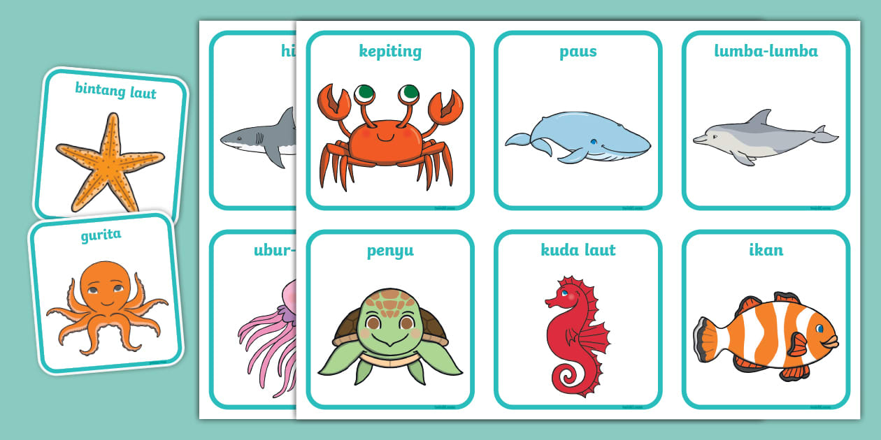 Ocean Animals Word Cards - Indonesian (Teacher-Made)
