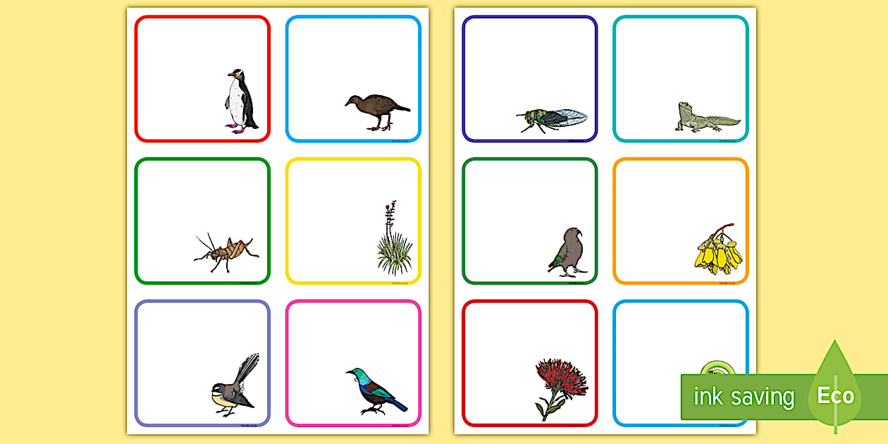 New Zealand Native Flora and Fauna Editable Drawer, Peg, Name Labels