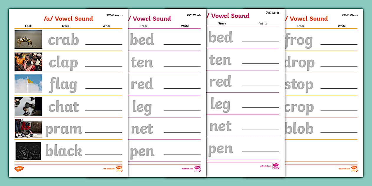 Older Learners CVC and CCVC Activity Sheets (teacher made)