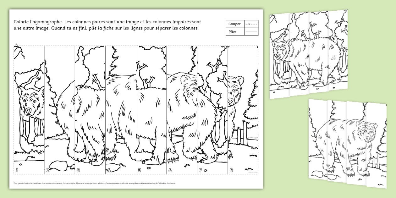 Agamographe à colorier : Les ours (teacher made) - Twinkl