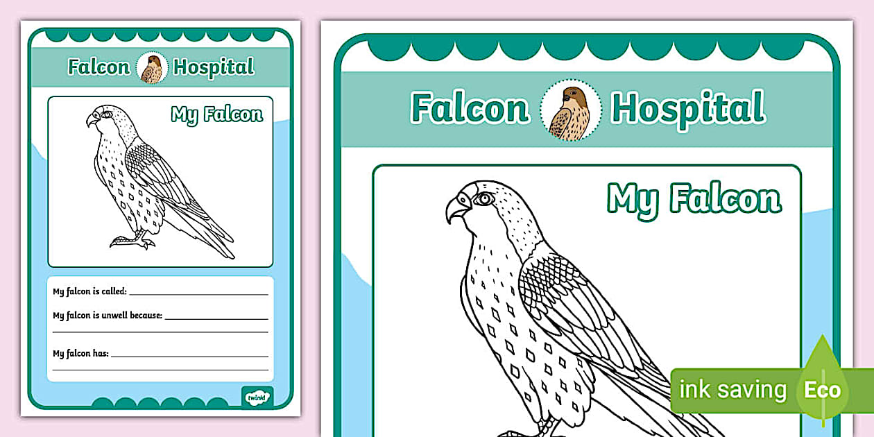 Falcon Hospital Role Play Writing Activity - Twinkl