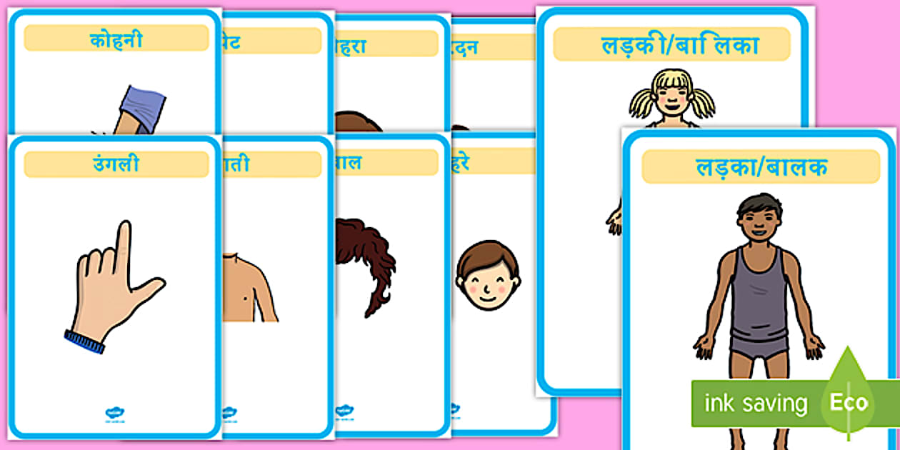 शरीर के अंग - Body Parts Display Posters