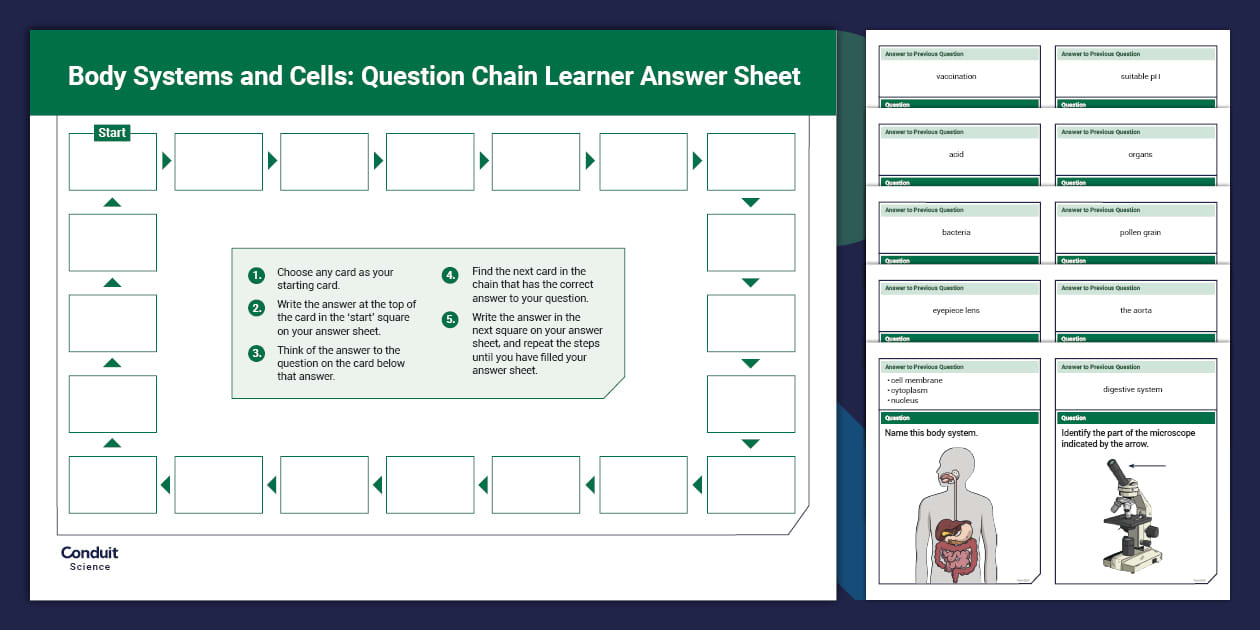 Body Systems and Cells: Question Chain (teacher made)