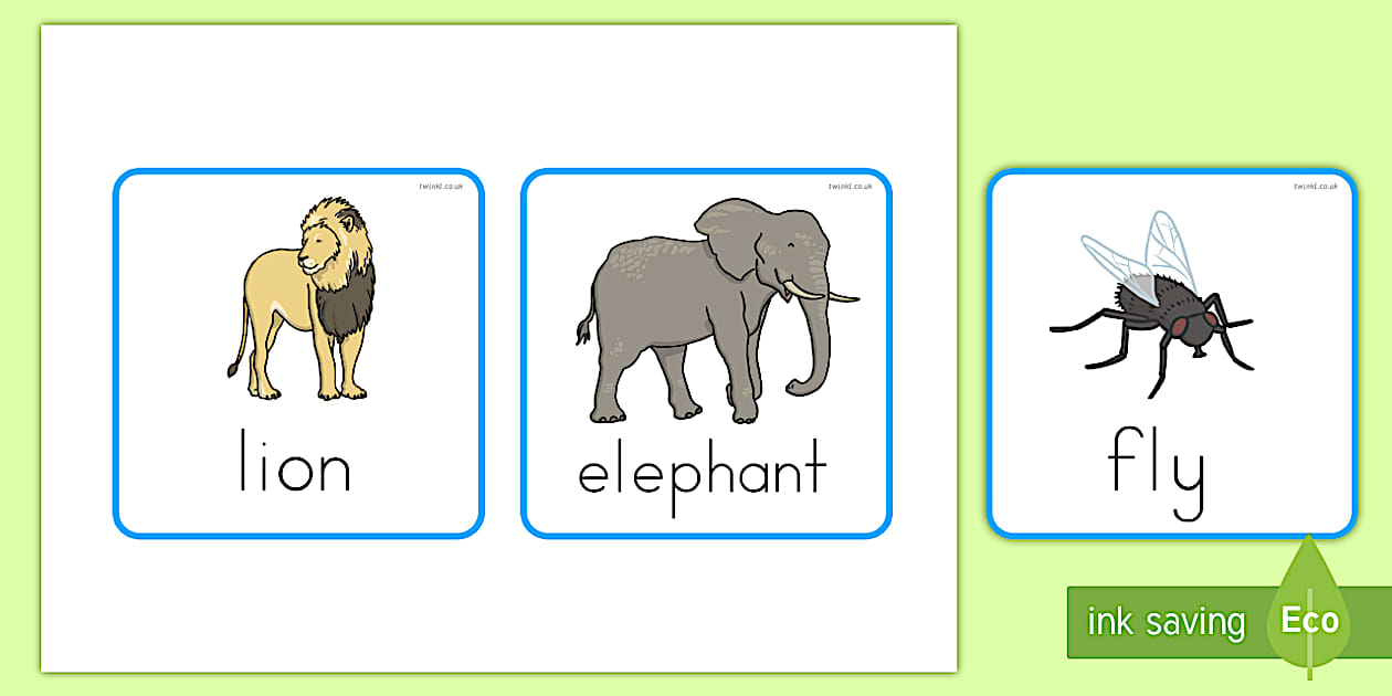 Vertebrates or Invertebrates Cards (teacher made) - Twinkl