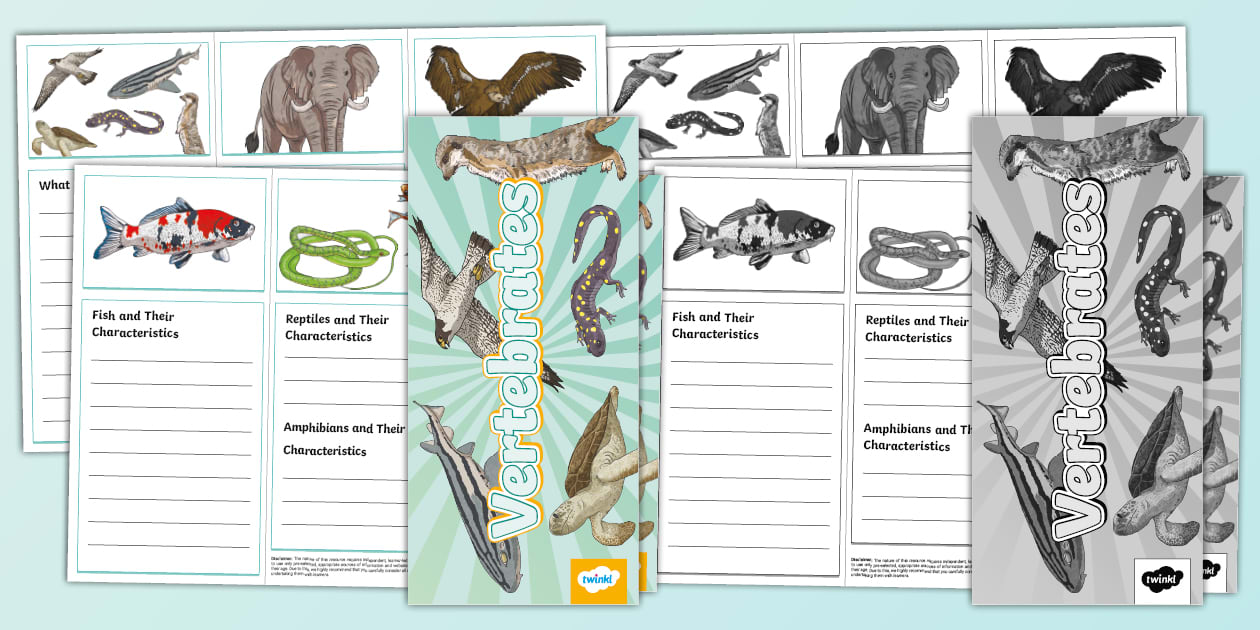 Vertebrates Leaflet Template (Teacher-Made) - Twinkl