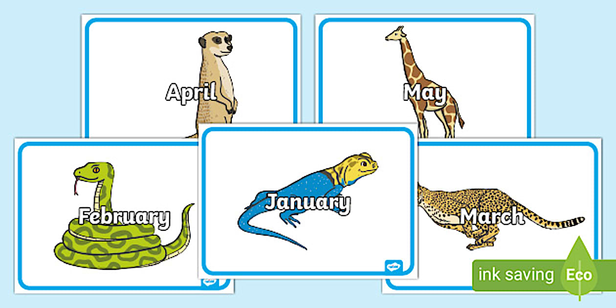 Months of the Year on Safari Animals (teacher made) - Twinkl