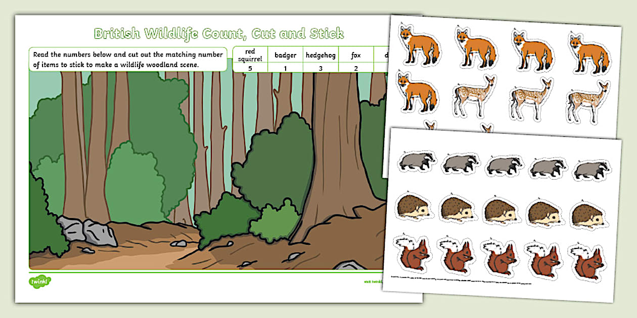 👉 British Wildlife Count, Cut and Stick Worksheet