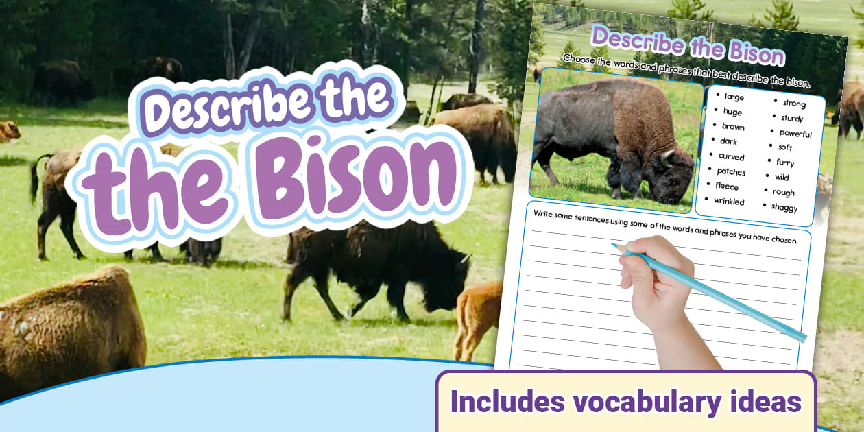 Describe the Bison Worksheet