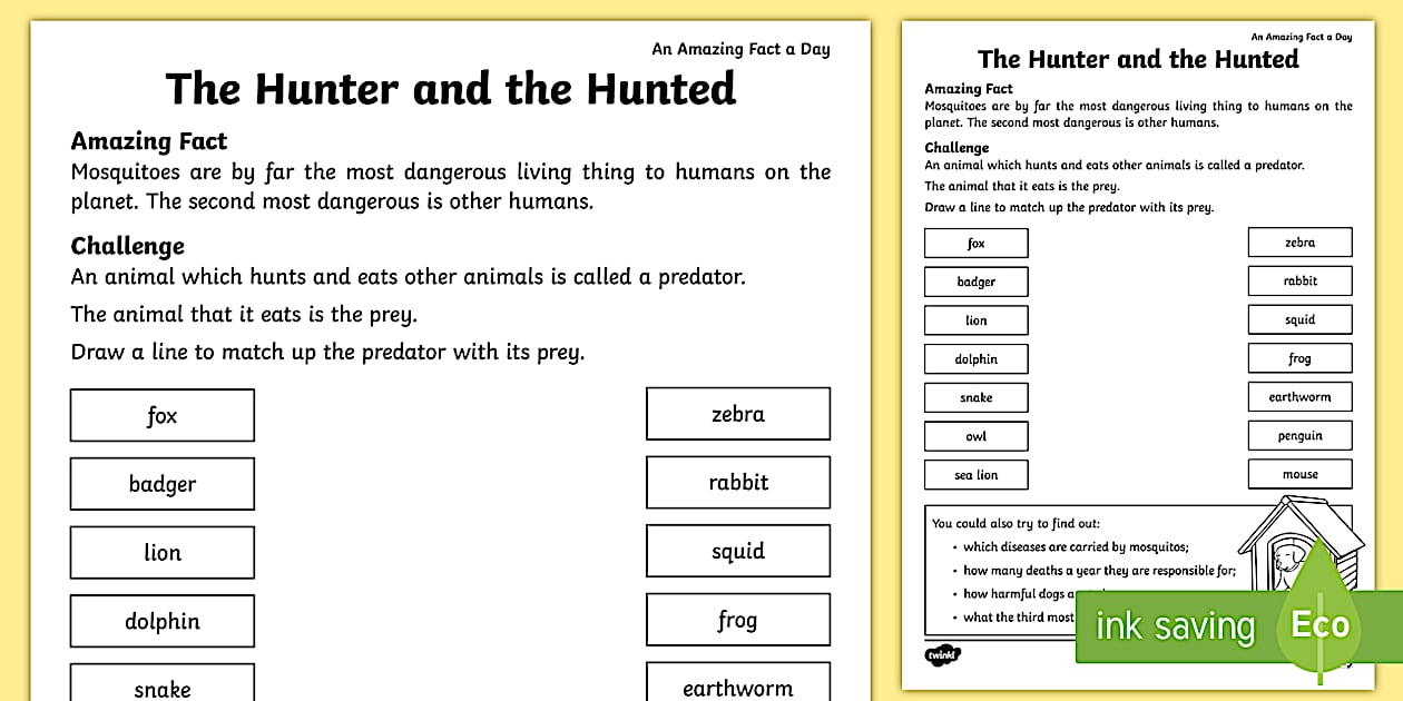 The Hunter and the Hunted Worksheet / Worksheet - Twinkl