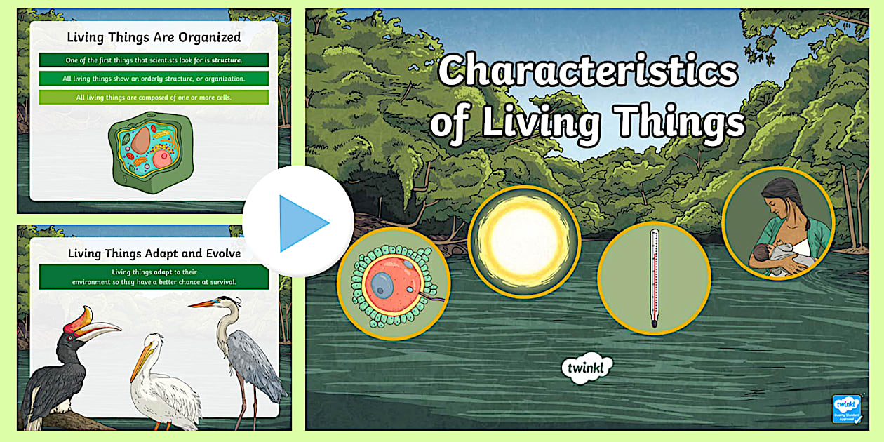 Characteristics of Living Things PowerPoint for 3rd-5th Grade