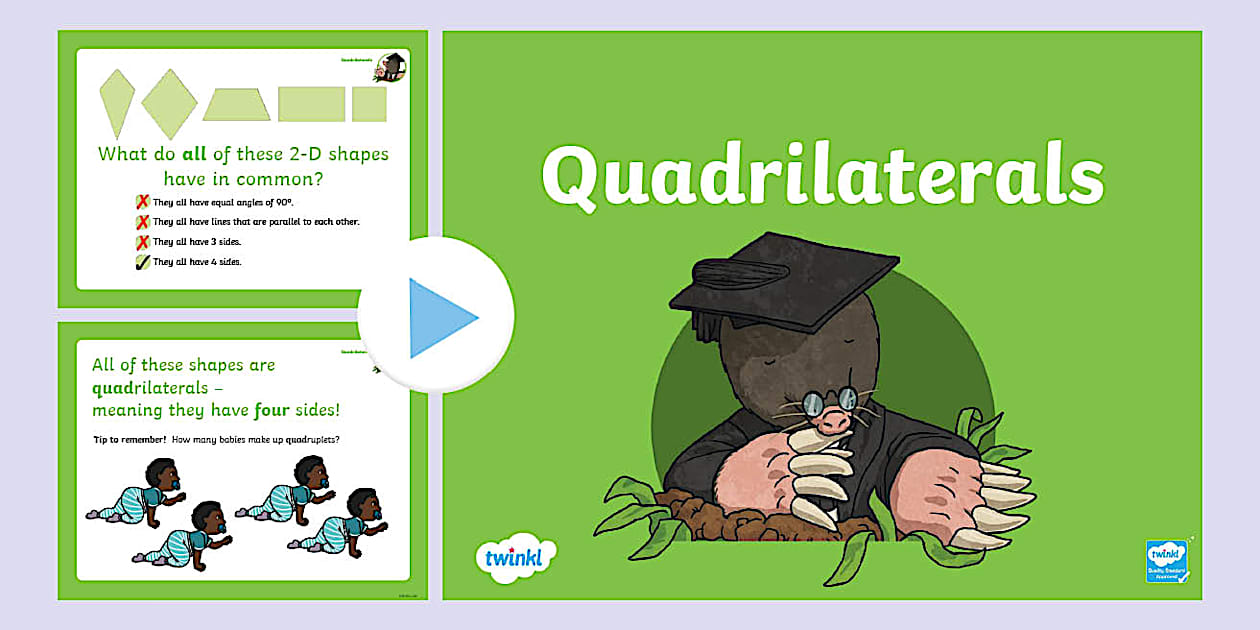 Properties of Quadrilaterals PowerPoint (teacher made)