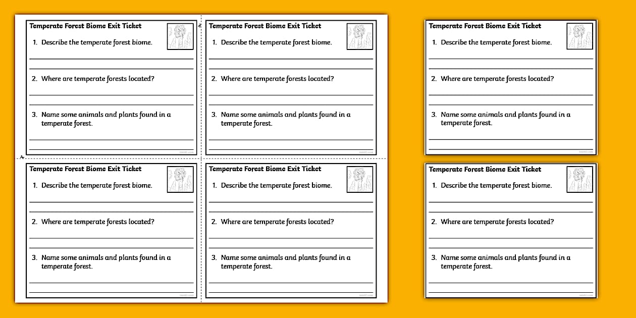 Temperate Forest Biome Exit Ticket for 3rd-5th Grade