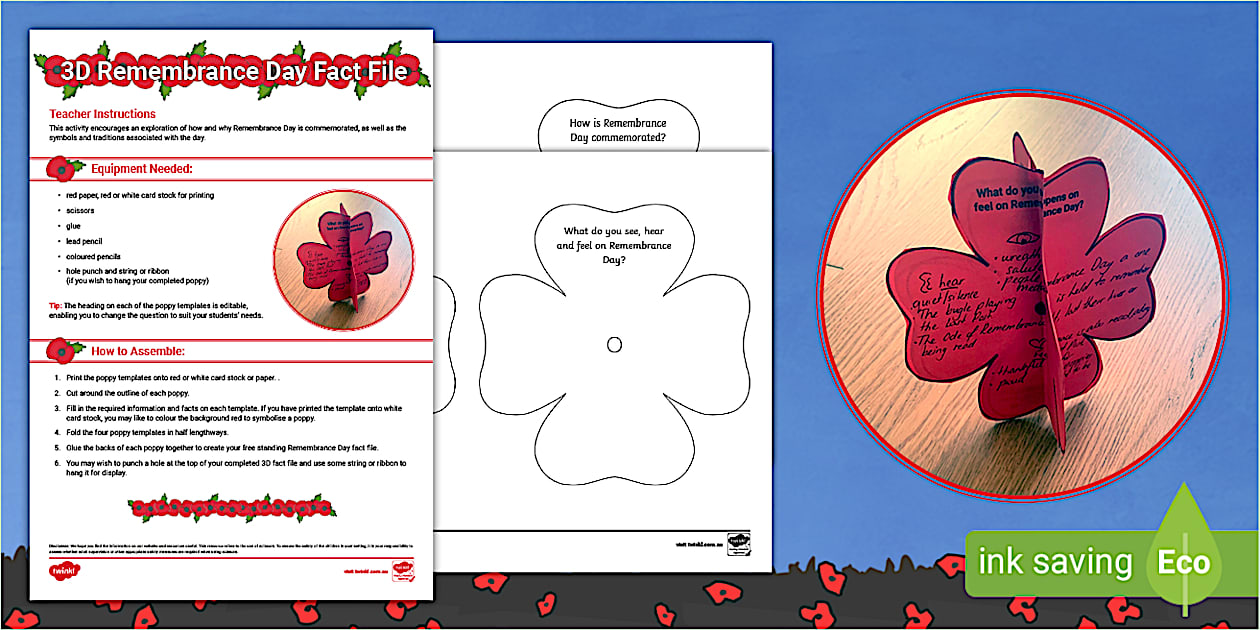 3D Remembrance Day Fact File