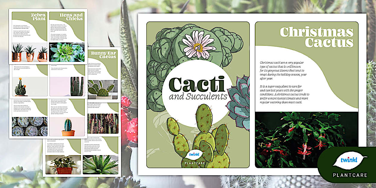Cacti and Succulents Cards (teacher made) - Twinkl
