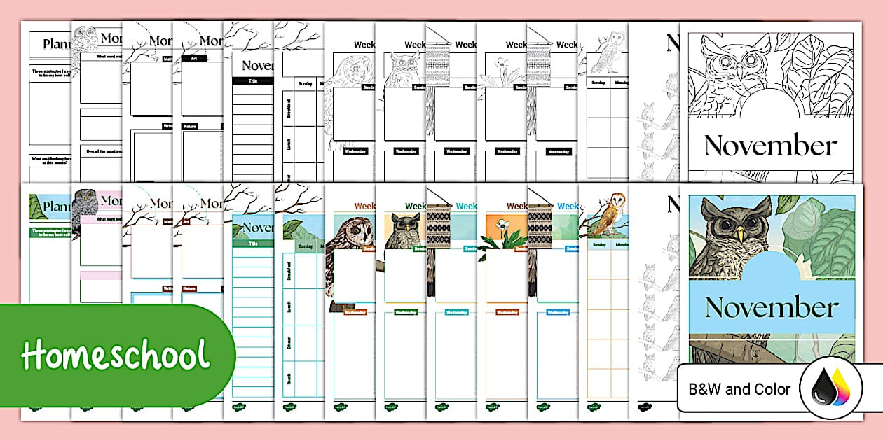 November Homeschool Planner Pages (profesor hizo) - Twinkl