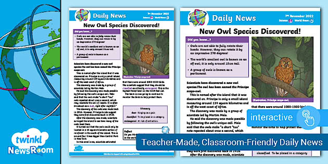 New Owl Species Discovered -Daily NewsRoom Article (ages 7-9)