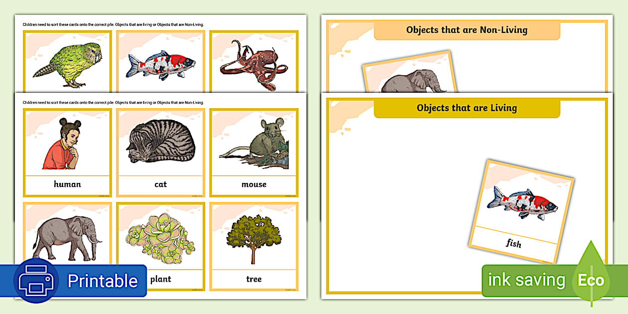Living and Non-Living Things - Sorting Cards (teacher made)