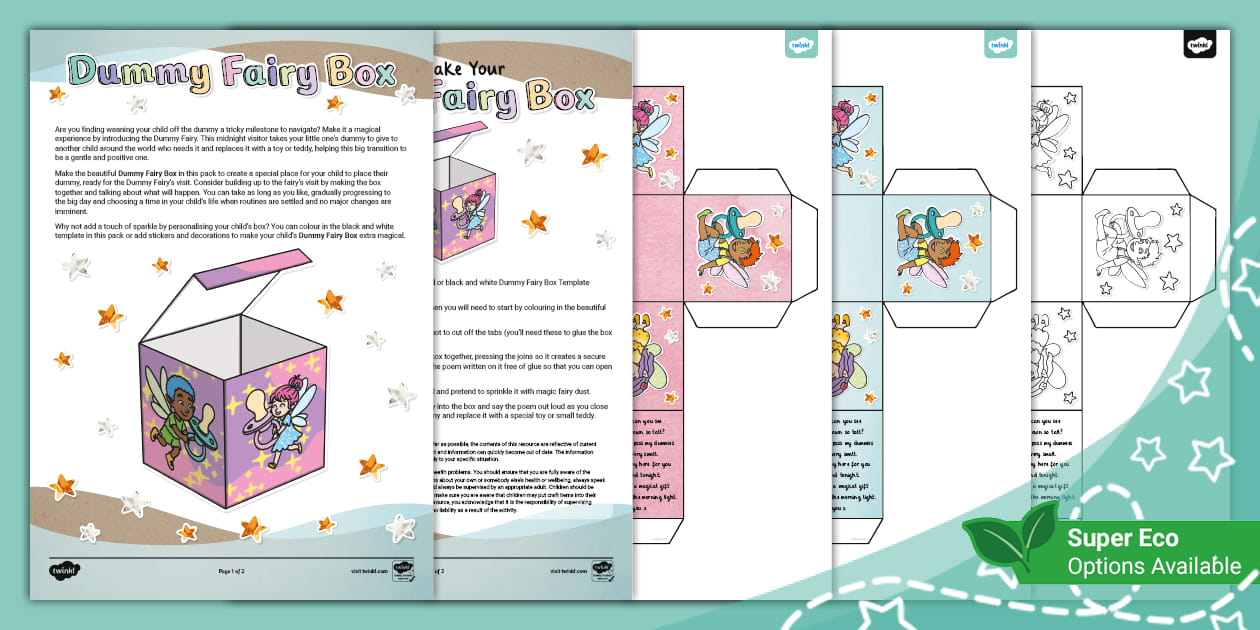 Dummy Fairy Box (teacher made) - Twinkl